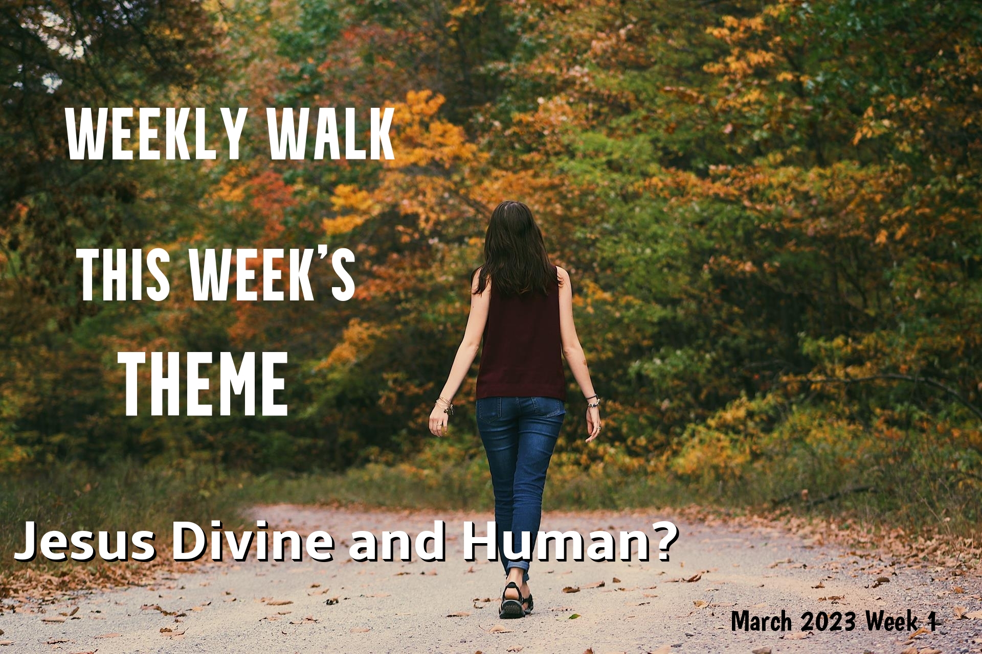 Jesus: Divine and Human? - Women Seeking Christ